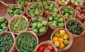 Home - Ed Lester Farms