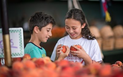 Peaches and More! | Ed Lester Farms