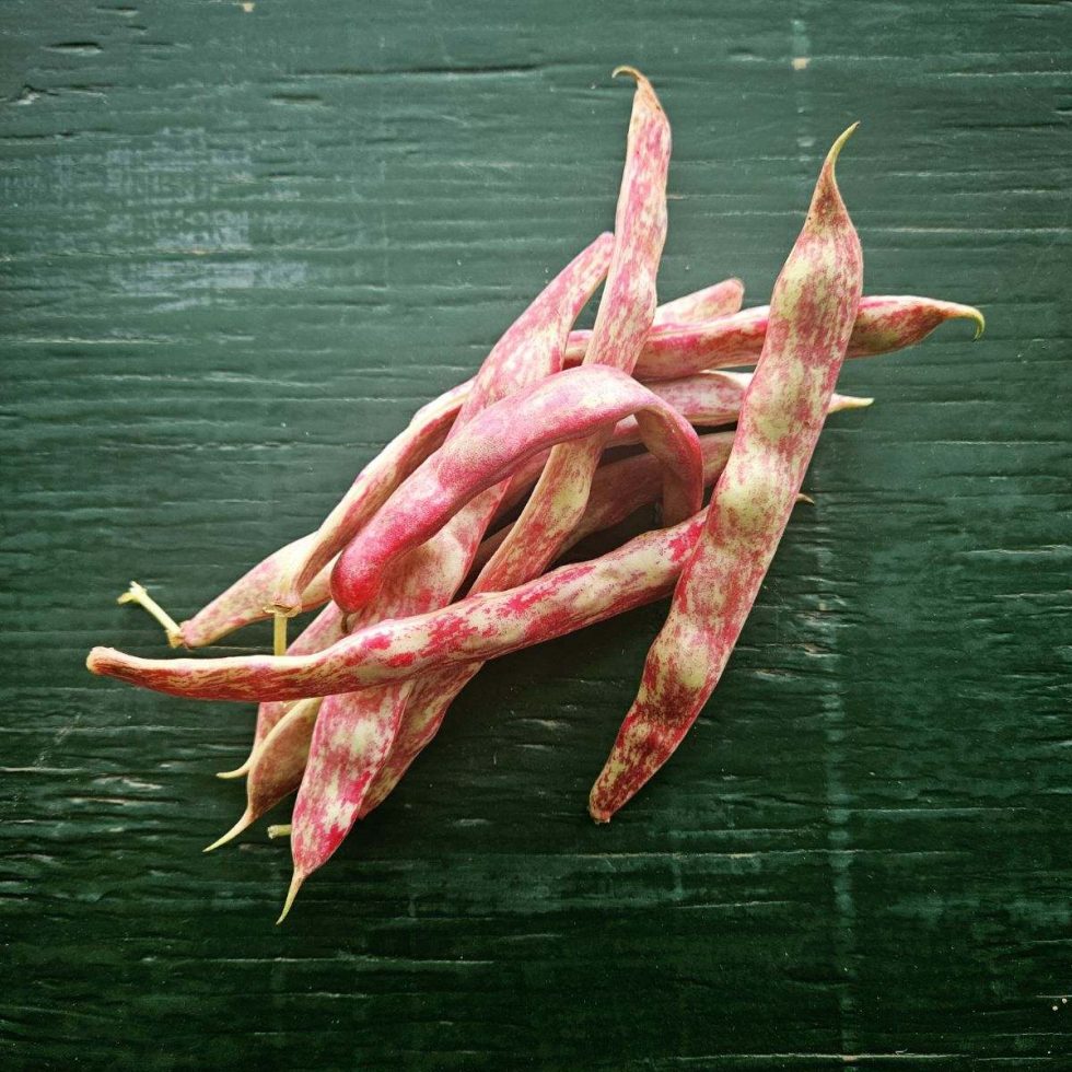 Ed Lester Farms | Coushatta, LA - Louisiana Peaches, Purple Hull Peas ...